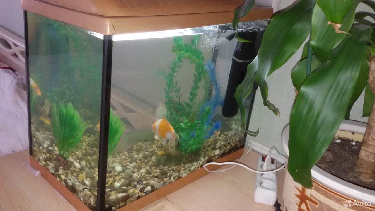 Продаю аквариум 60 л