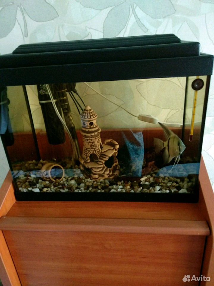 Аквариум
