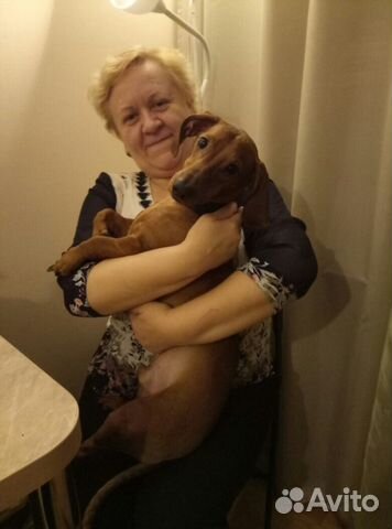 Отдам в добрые руки собаку