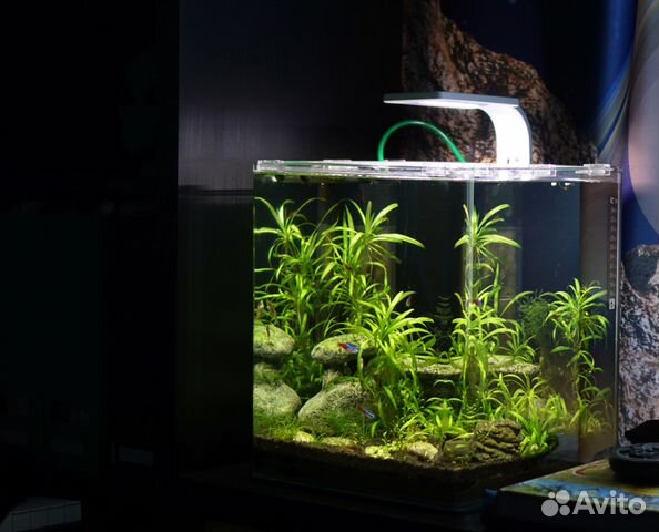 Аквариум Dennerle Nano Cube 30L с принадлежностями