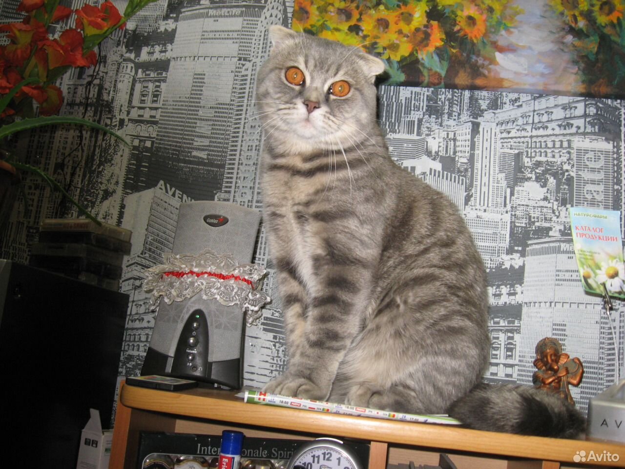 Вязка
