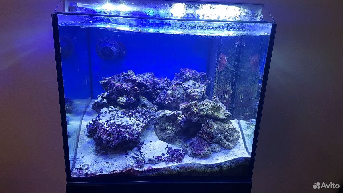 Морской аквариум С камнями И песком