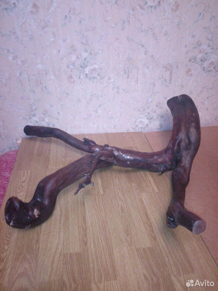 Коряга мангрового дерева