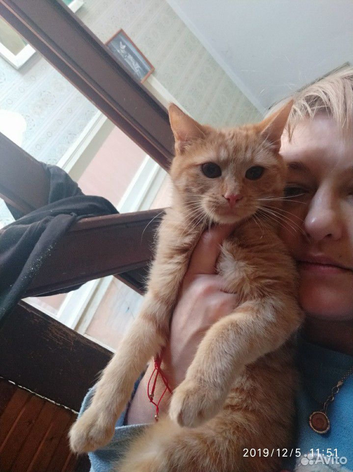 Кошечка Маринка