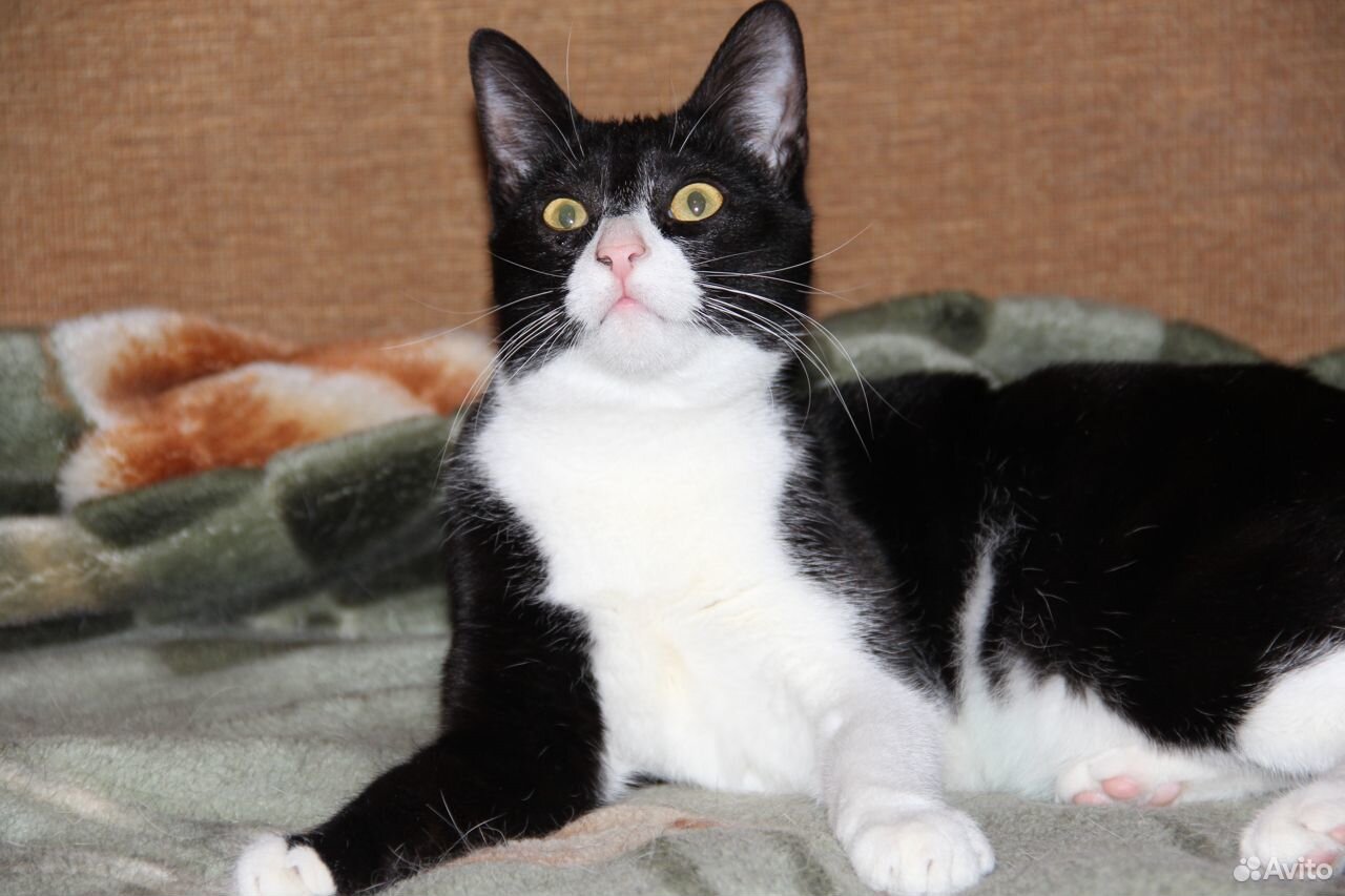 Две сестренки милашки юные очаровашки