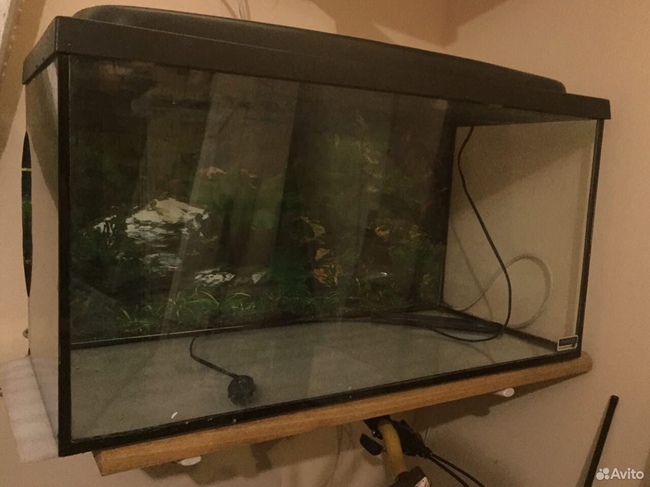 Аквариум