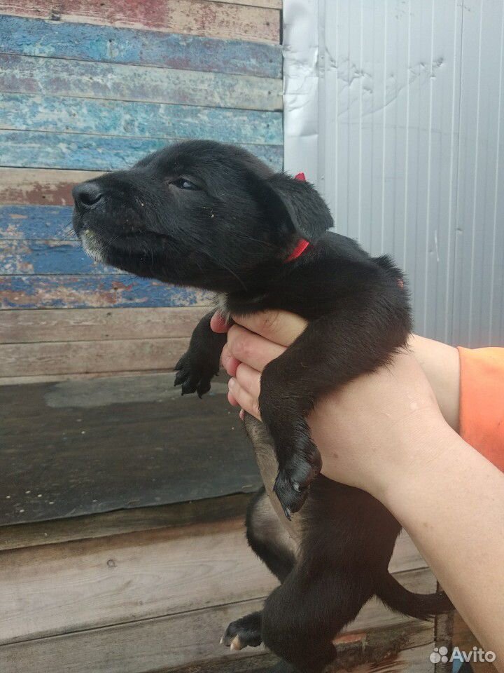 Малышуля в дар