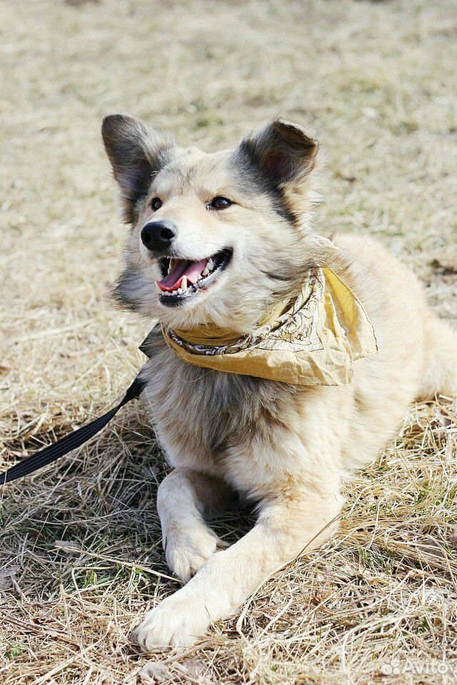 Инвалид Тони ищет дом