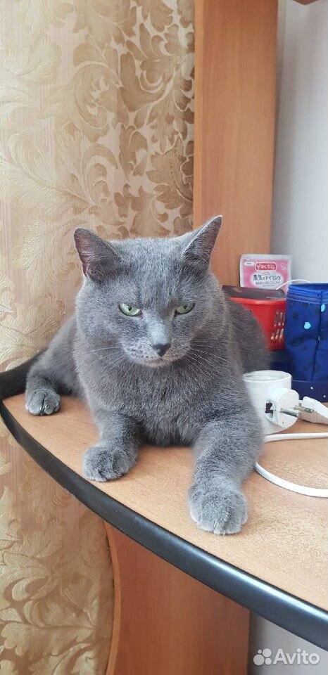 Шикарнейший Адик