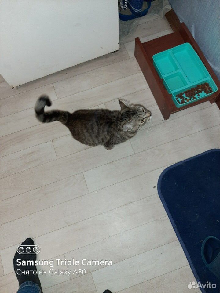 Сима