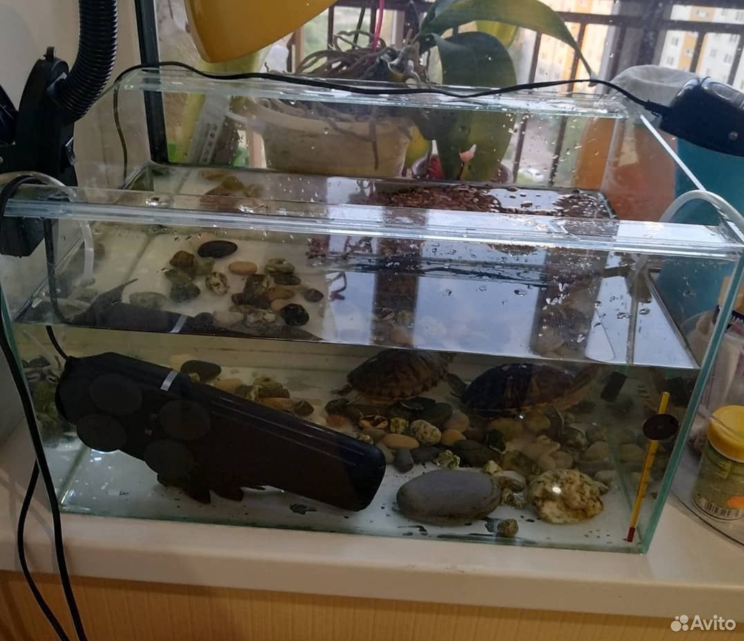 Аквариум