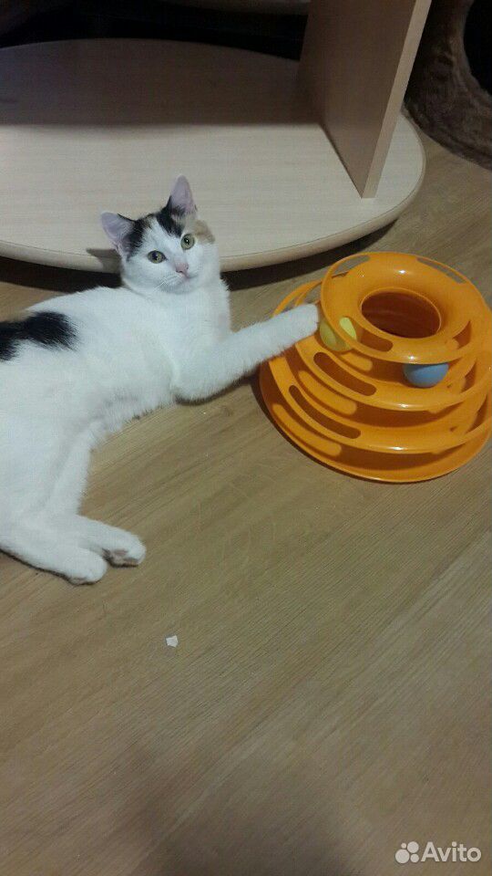 Девочка Ночка