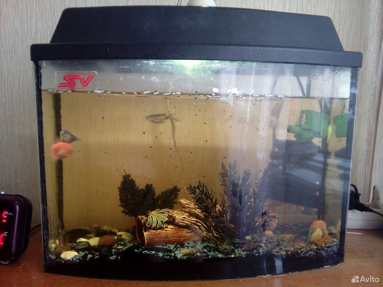 Аквариум со всеми принадлежностями и рыбки