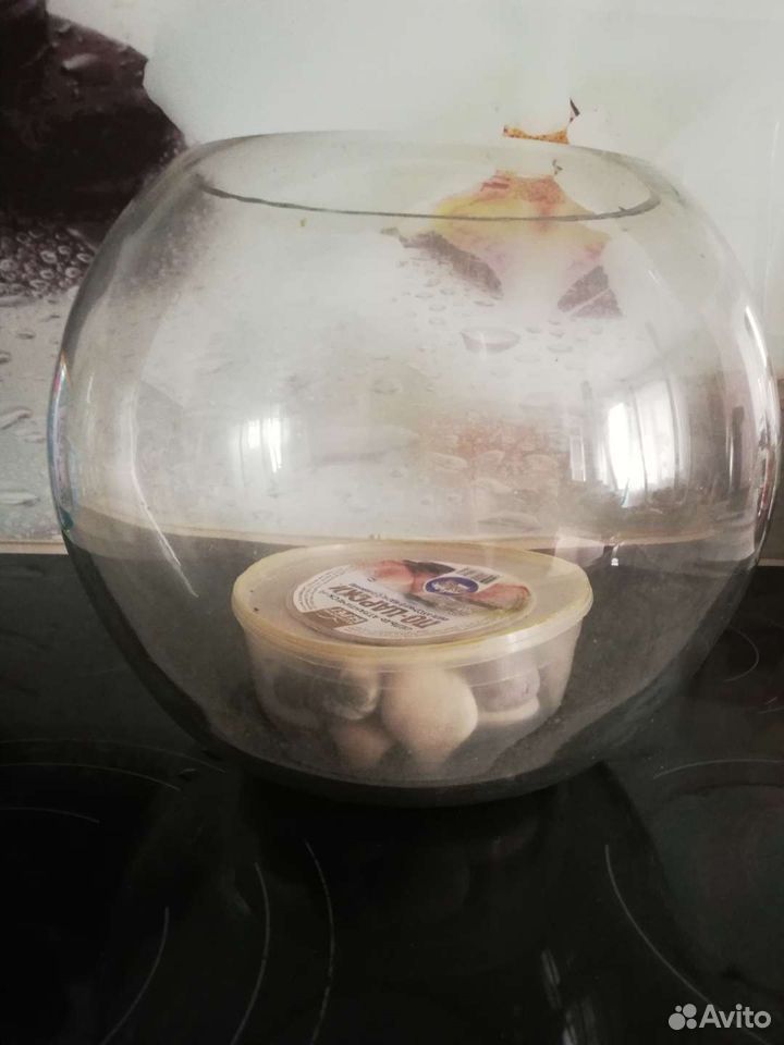 Круглый аквариум