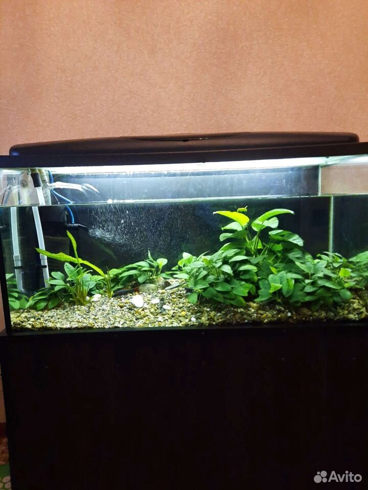 Аквариум террариум 200л