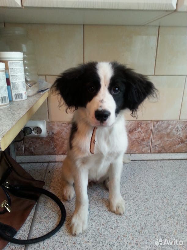 Милана, 6 мес