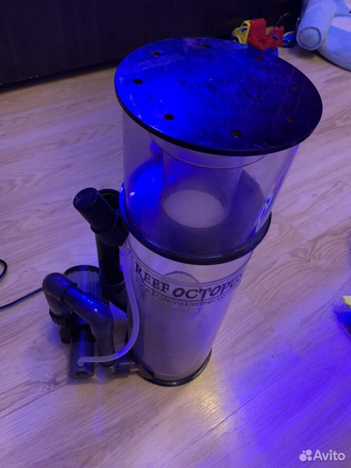 Пенник reef octopus