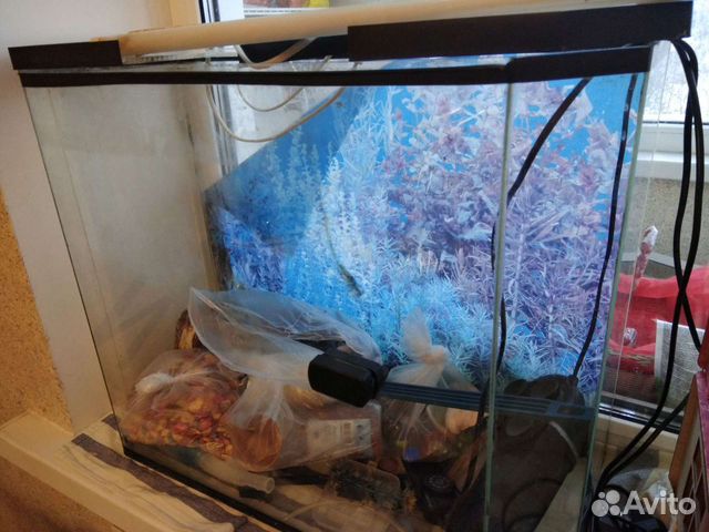 Аквариум