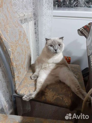 Британская