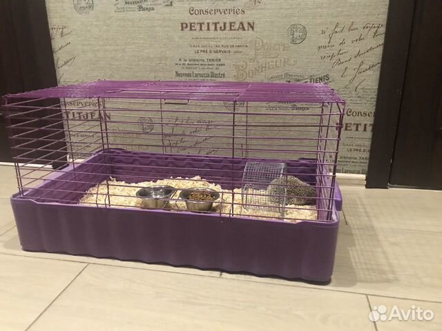 Африканский ежик с клеткой