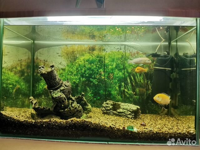 Аквариум
