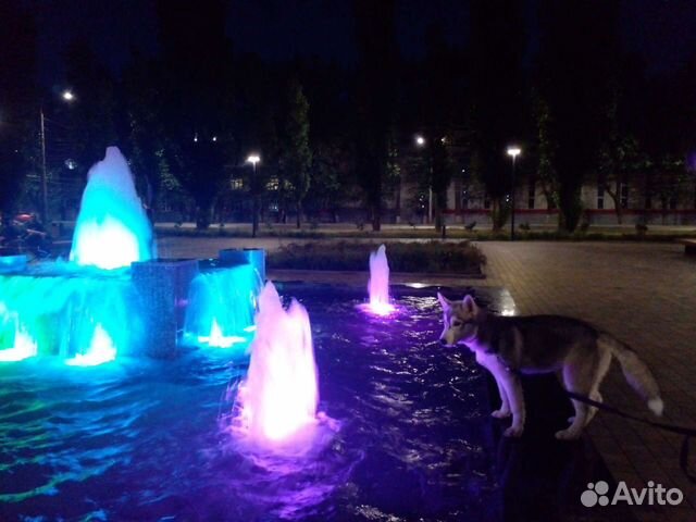 Лара Крофт