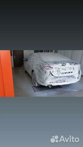 Коровы дойные