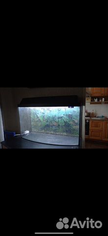 Аквариум 55 литров