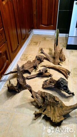 Коряги дубовые