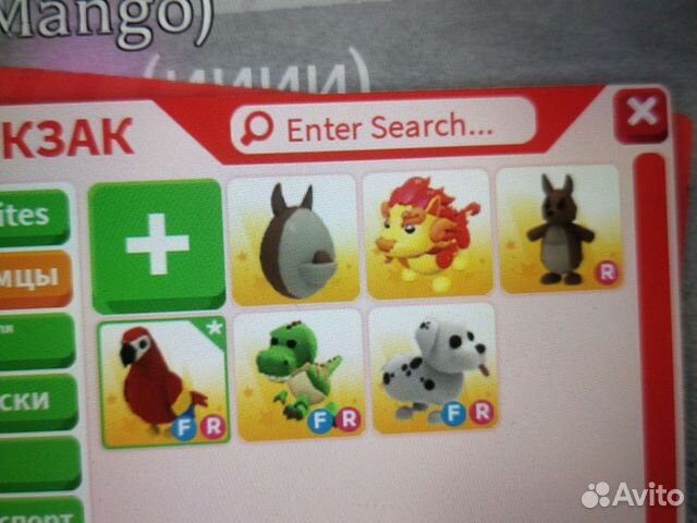 Попугай адопт ми