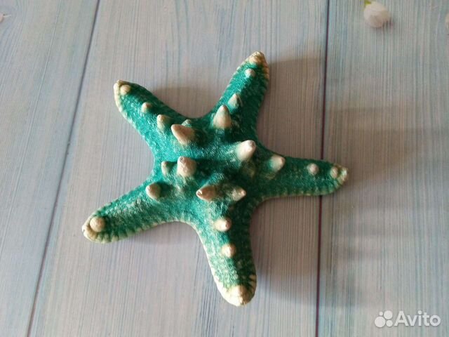 Морская звезда сухая