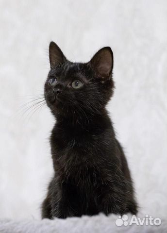 Малышка Клёпа