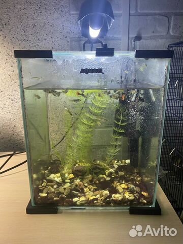 Аквариум Aquael 15 литров