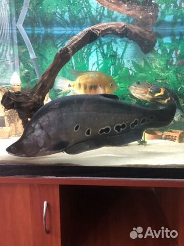 Индийский нож