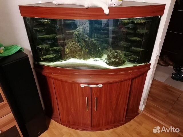 Аквариум