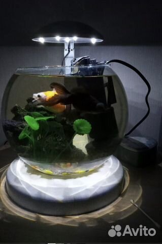 Аквариум с рыбками