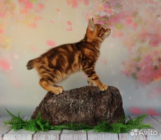 Красивый очень милый малыш