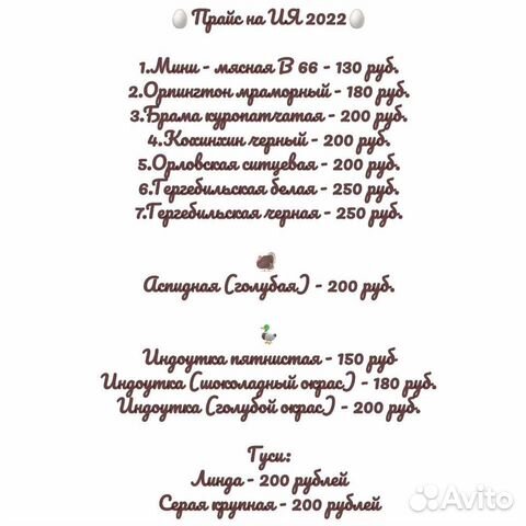 Инкубационное яйцо