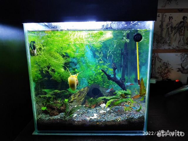 Аквариум 40 л+свет+доп+рыбки: идеально новичку