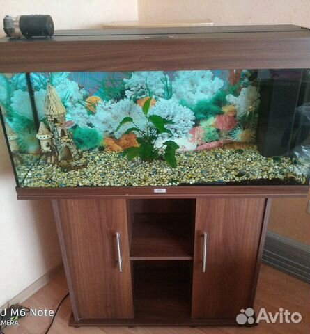 Аквариум с тумбой juwel180