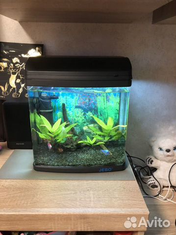Аквариум jebo с рыбами