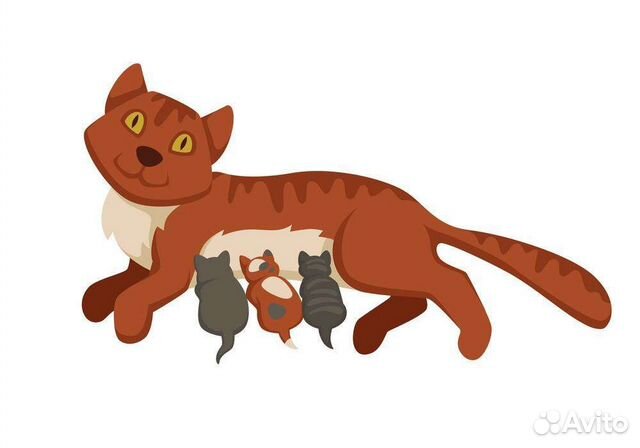 Новорожденные котята и кошка в грязных условиях