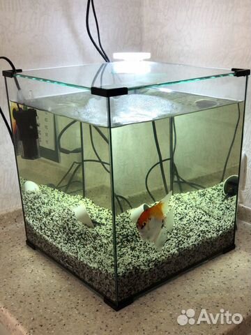 Аквариум 30л Biodesign со всем необходимым