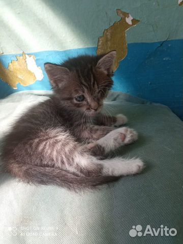 Ищу своего человека