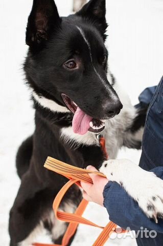 Гриша, около года