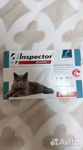 Inspector Quadro К