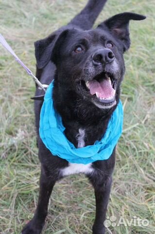 Он ещё надеется найти семью