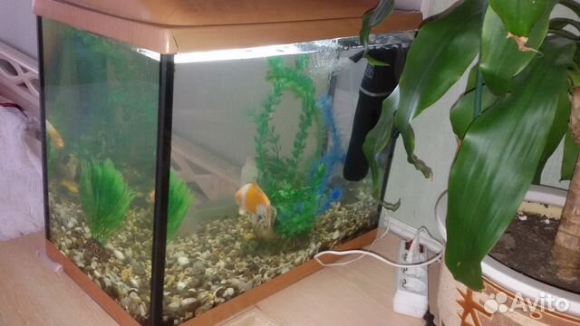 Продаю аквариум 60 л