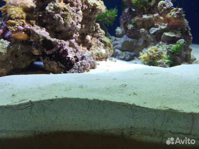Арагонитовый песок для морского аквариума