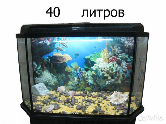 Аквариум новый пн 40 освещением